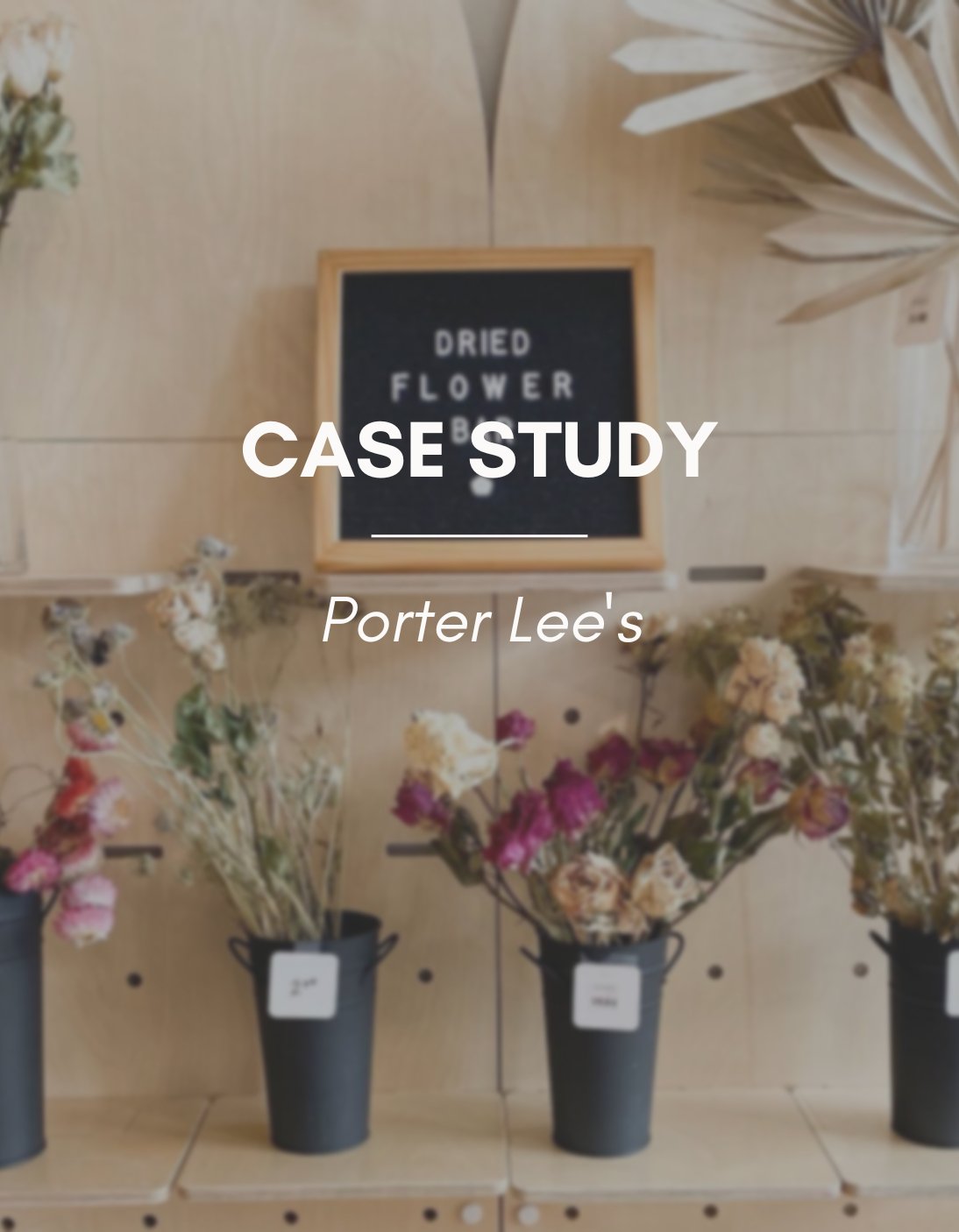 Porter Lee's Case Study – Vertical Ledge